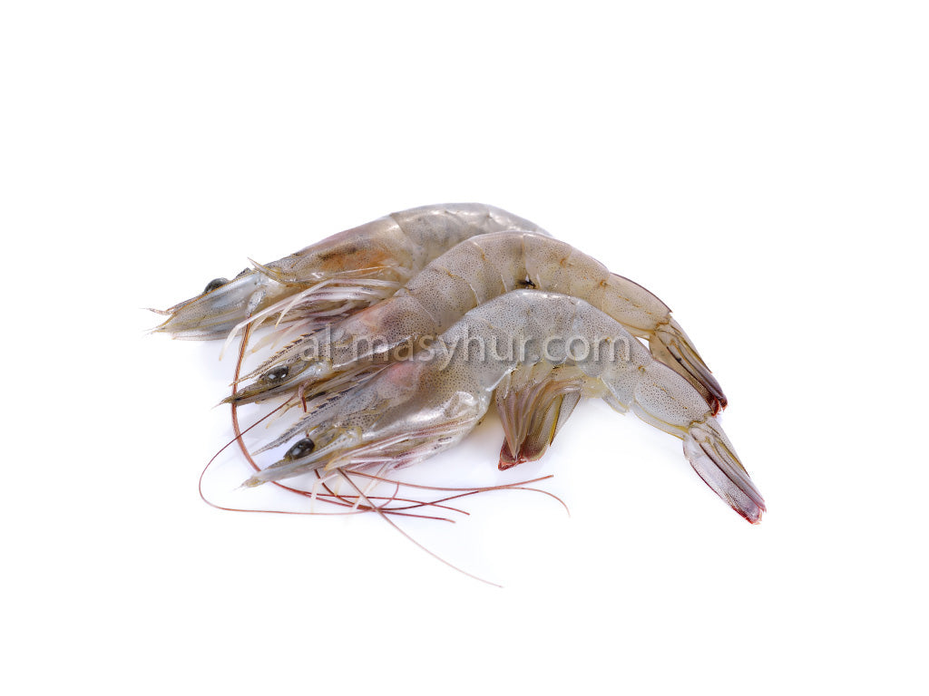 G01 - Grey Prawn (S) 1kg (Udang Kelabu) | Al-Masyhur