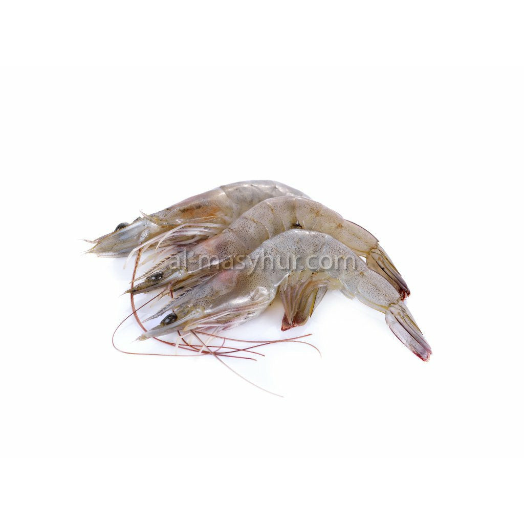 Seafood | Al-Masyhur